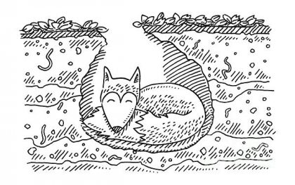 Cartoon Fox Drawing - Drawing Skill