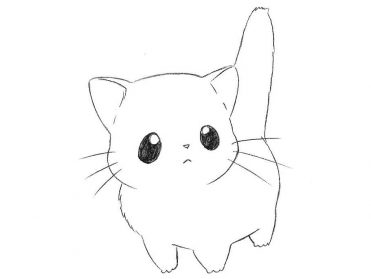 Cat Anime Drawing Photo - Drawing Skill