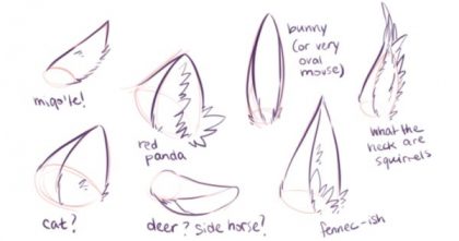 Cat Ear Drawing Image - Drawing Skill