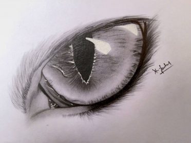 Cat Eye Art Drawing - Drawing Skill