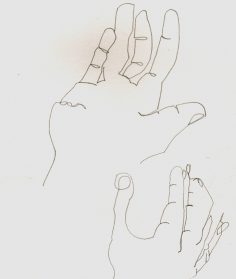 Contour Line Drawing Photo - Drawing Skill