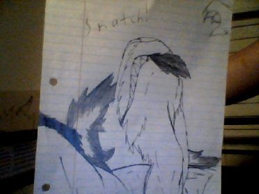 Furry Vore Drawing Image - Drawing Skill