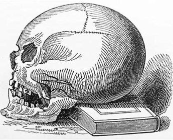 Medieval Skull Drawing Images - Drawing Skill