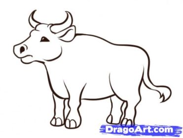 Ox Drawing - Drawing Skill