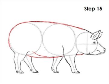 Pig Drawing Picture - Drawing Skill