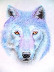 Snow Wolf Art Drawing - Drawing Skill