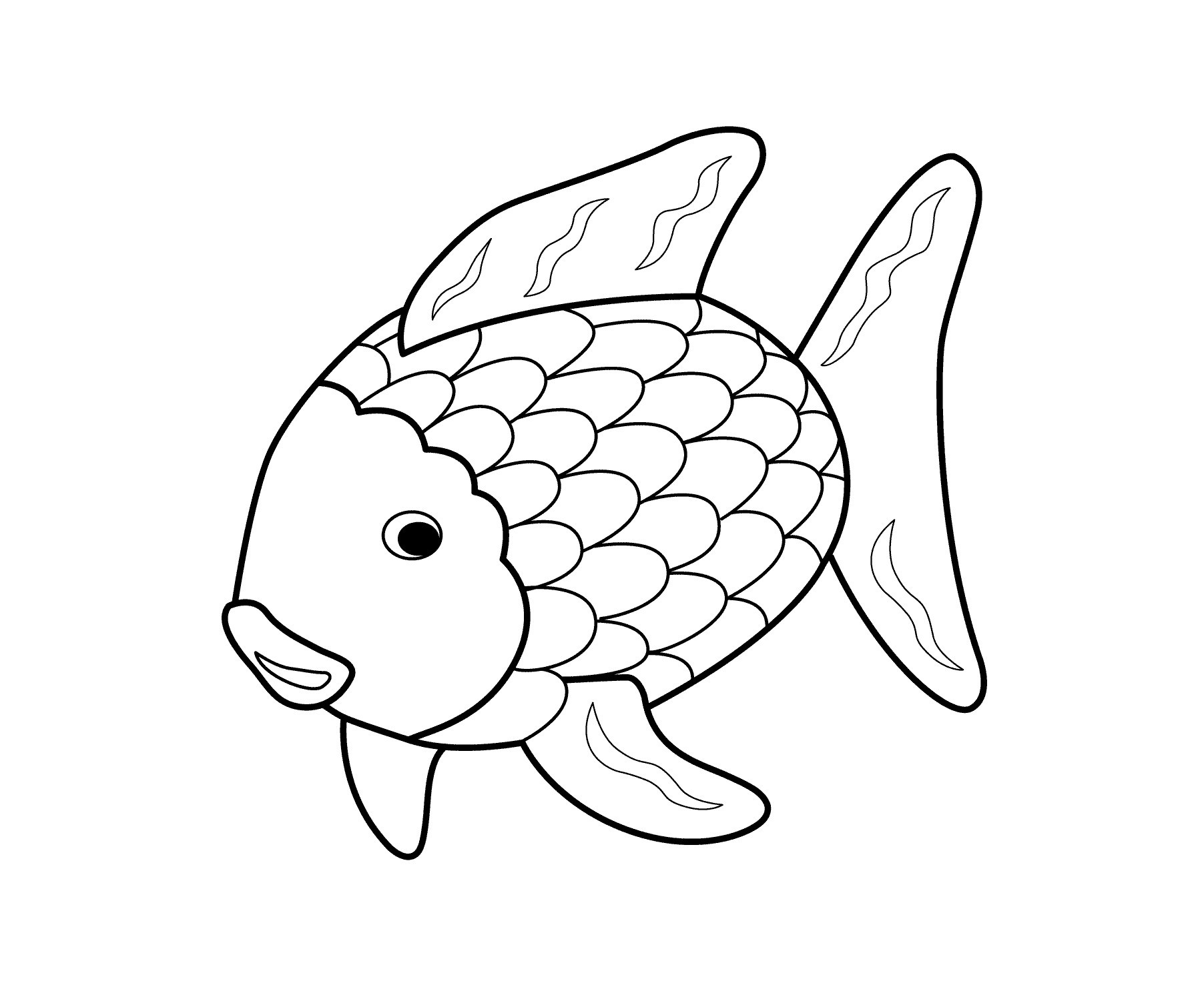 Animal Drawing Skill