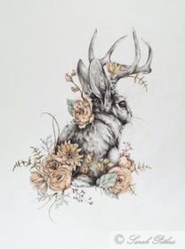 Jackalope Drawing Realistic - Drawing Skill