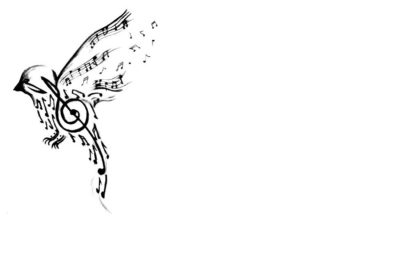 Music Bird Art Drawing - Drawing Skill