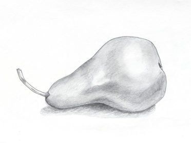 Pear Drawing Realistic - Drawing Skill