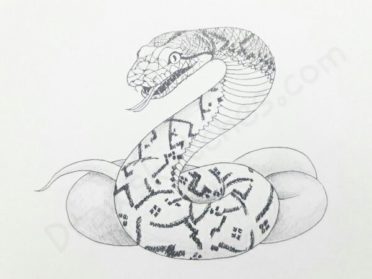 Serpent Drawing Amazing - Drawing Skill