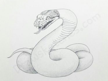 Serpent Drawing Beautiful Image - Drawing Skill