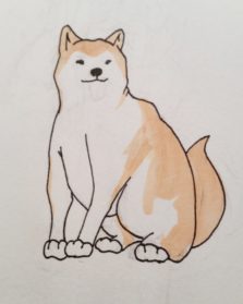 Shiba Inu Drawing Pics - Drawing Skill