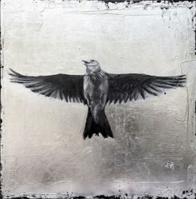 Skylark Drawing Pics - Drawing Skill