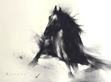 Stallion Drawing Image - Drawing Skill