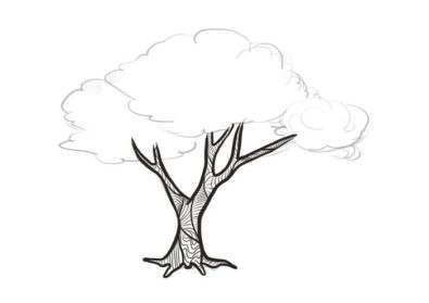 Tree Drawing Art - Drawing Skill