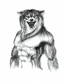 Werewolf Head Drawing Art - Drawing Skill