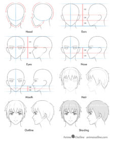 Manga Head Drawing Photo - Drawing Skill