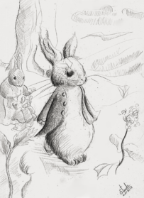 Peter Rabbit Drawing Sketch - Drawing Skill
