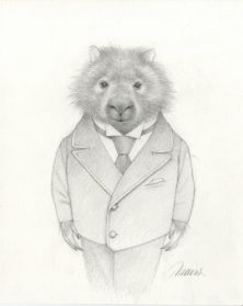 Wombat Drawing Best - Drawing Skill