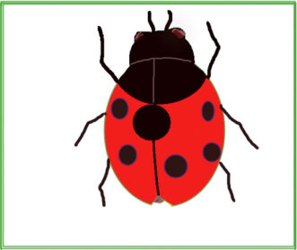 Ladybug Drawing Beautiful Art - Drawing Skill