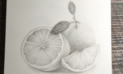 Shade Drawing Realistic - Drawing Skill