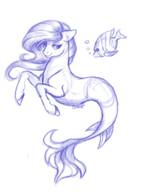 Hippocampus Drawing - Drawing Skill