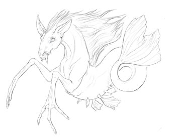 Hippocampus Drawing Photo - Drawing Skill