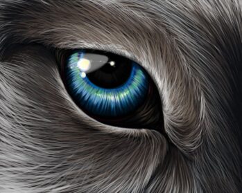 Werewolf Eyes Drawing Beautiful Image - Drawing Skill